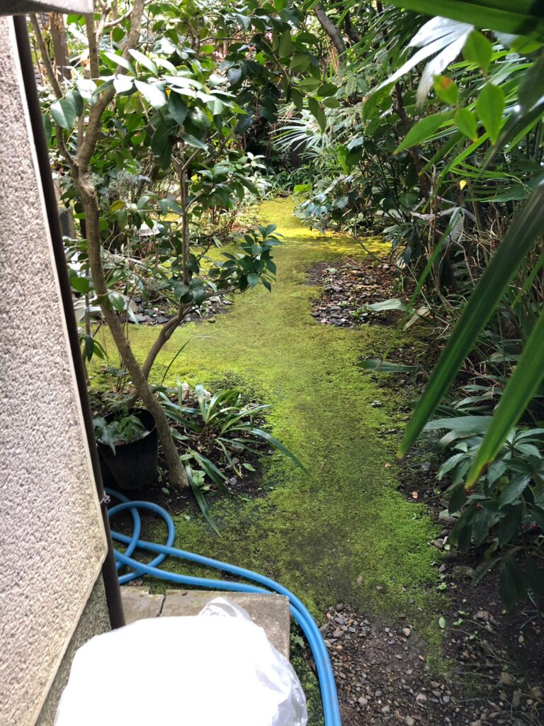 散水及び水栓交換 KVK K23J 二口水栓 タカギ ｽﾊﾟｲﾗﾙ散水ﾎｰｽ ｼｬﾜｰﾍｯﾄﾞ付き 【京都市北区】 – 株式会社ワットムセン ｜家電・電気・ガス機器・水廻り 交換工事専門店 ...